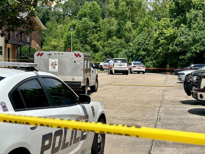 1 dead in shooting near Blvd de Province in Baton Rouge | Crime/Police ...