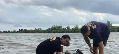 Man rescued by Kenner firefighters after kayak overturns in Lake ...
