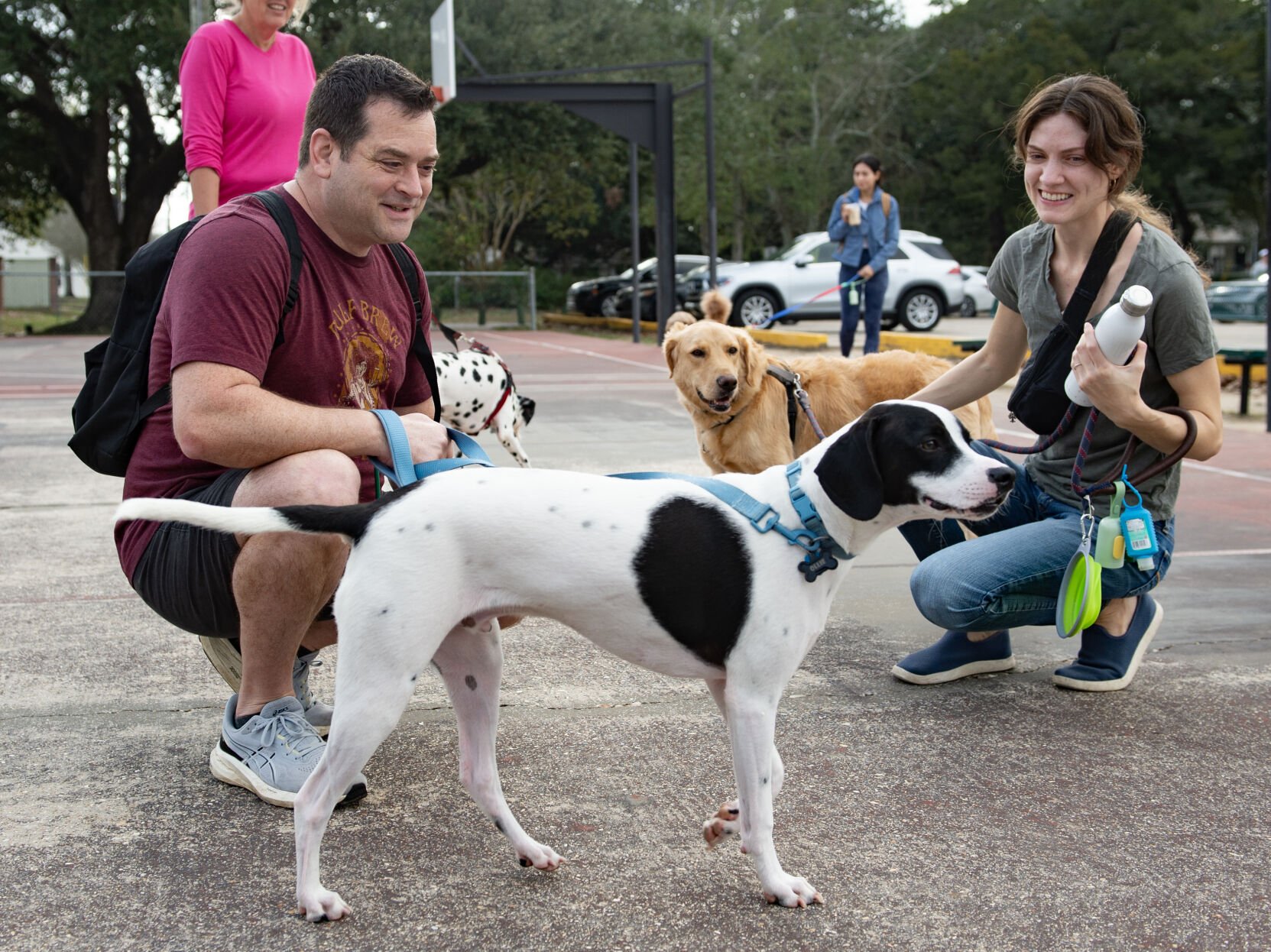 Photos: Dog Pack group dog walk | Photos | theadvocate.com