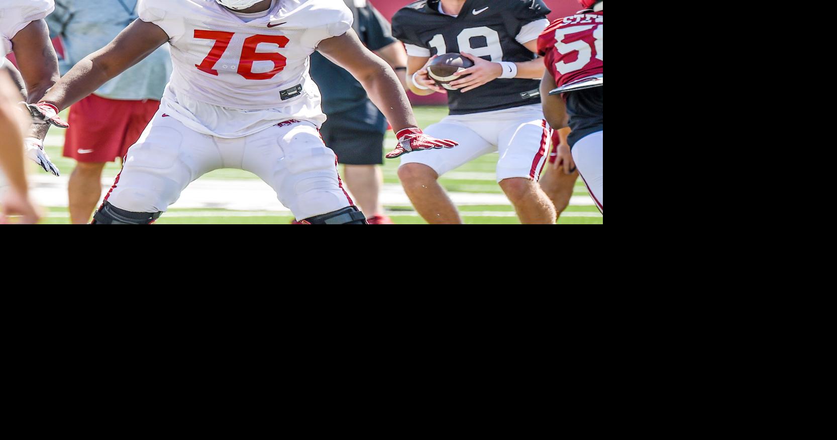 Razorbacks offensive line major key to season | Sports | thecabin.net