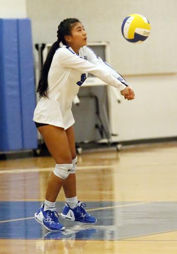 Lady Wampus Cats earn postseason volleyball honors | Sports | thecabin.net