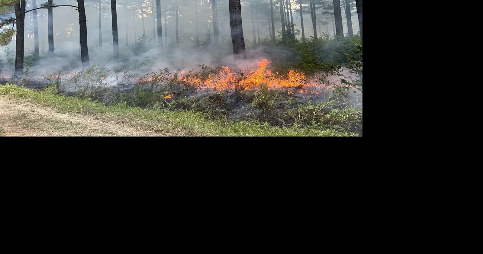 AGFC announces second round of Conservation Incentive Program | News | thecabin.net