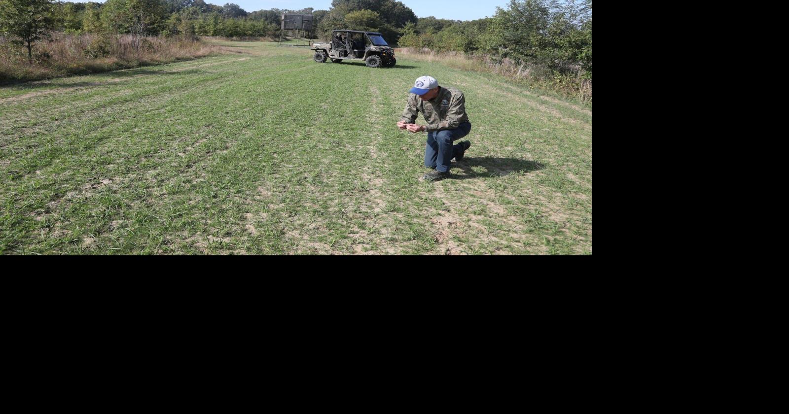 teaser | | thecabin.net