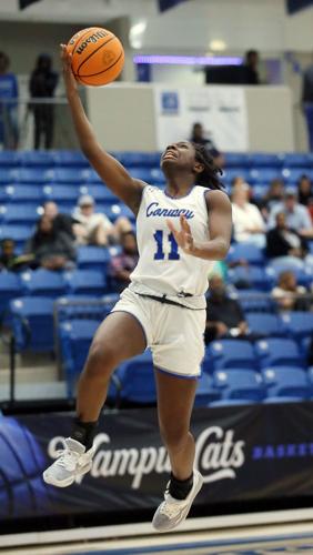 Lady Wampus Cats rout Parkview in opener | Sports | thecabin.net