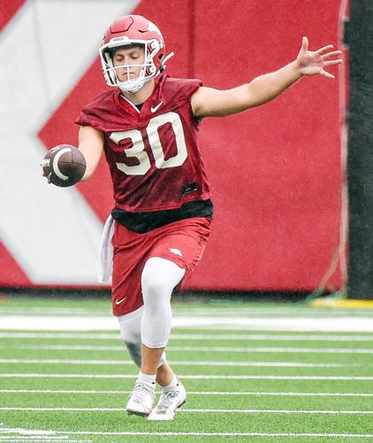 Hogs RB Johnson out with torn ACL | Sports | thecabin.net