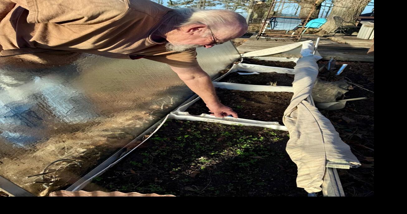 teaser | | thecabin.net