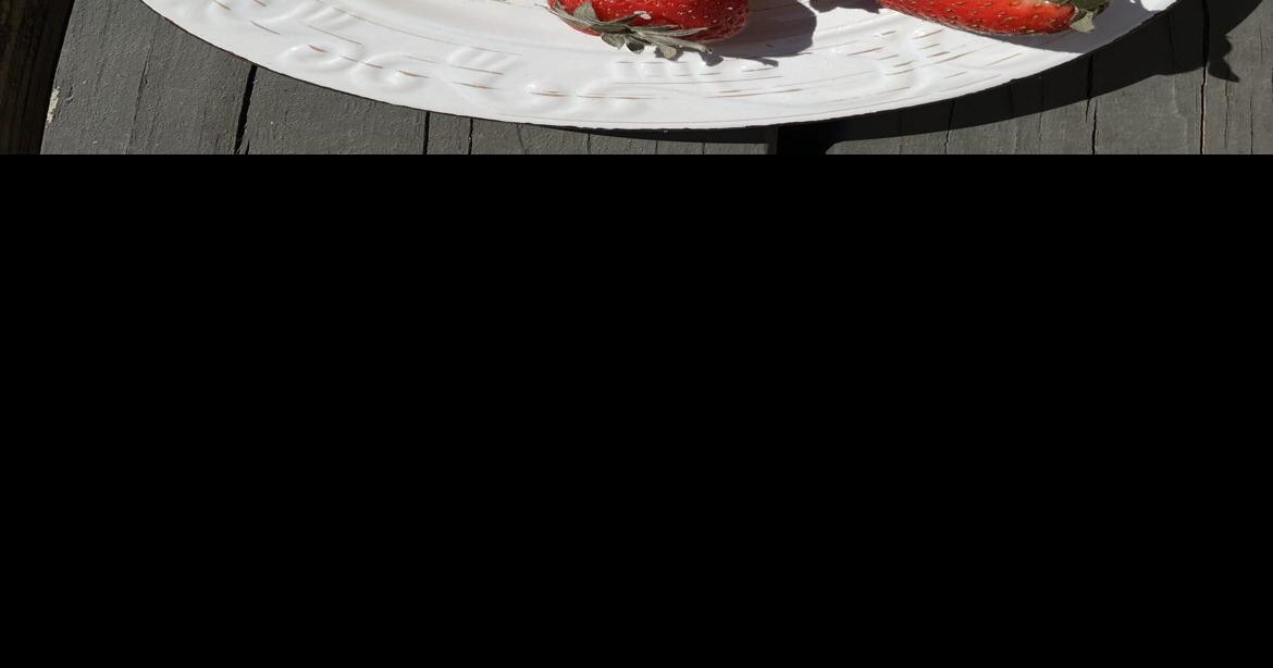 teaser | | thecabin.net