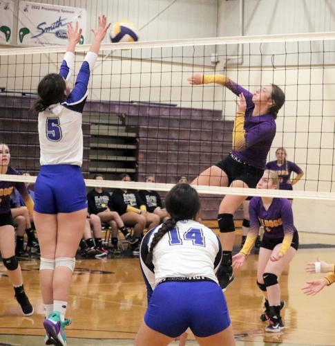 Webb to play in all-star volleyball game before college golf career ...