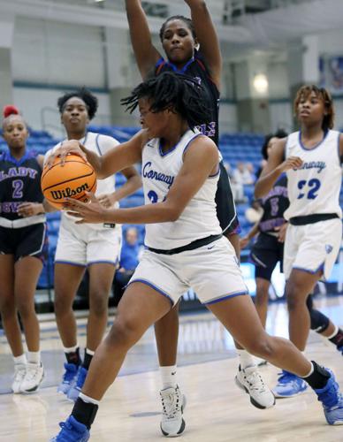 Lady Wampus Cats rout Lady Devils for home victory | Sports | thecabin.net