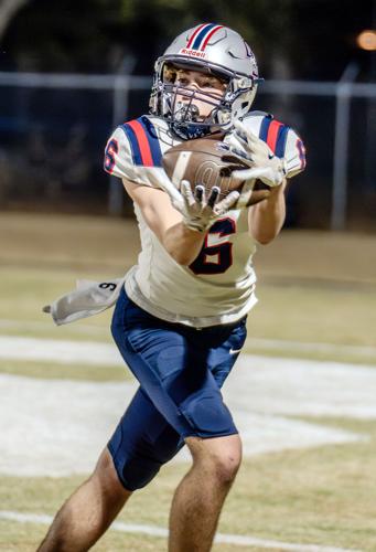 Eagles to host defending state champ Panthers on Friday | Sports ...