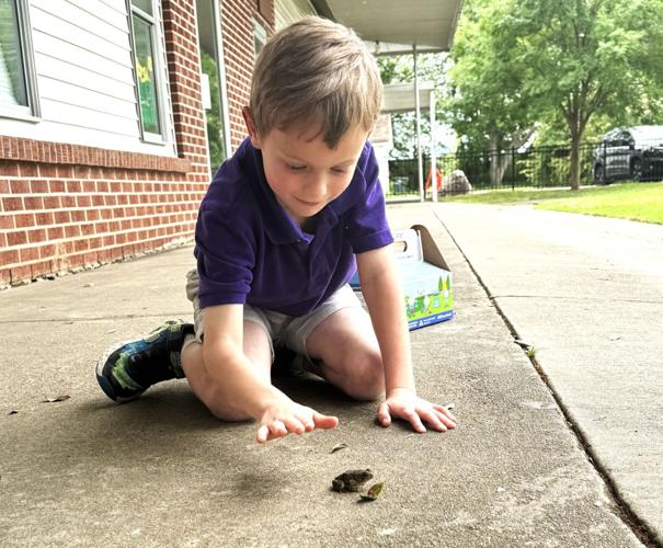 Conway students leap into toad races | News | thecabin.net