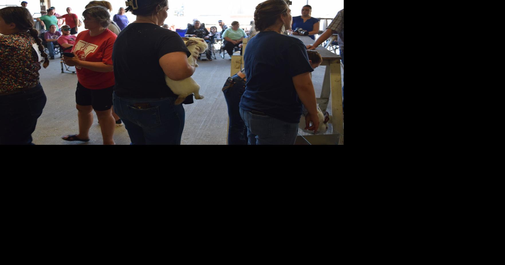 Faulkner County Fair ends on Saturday | News | thecabin.net