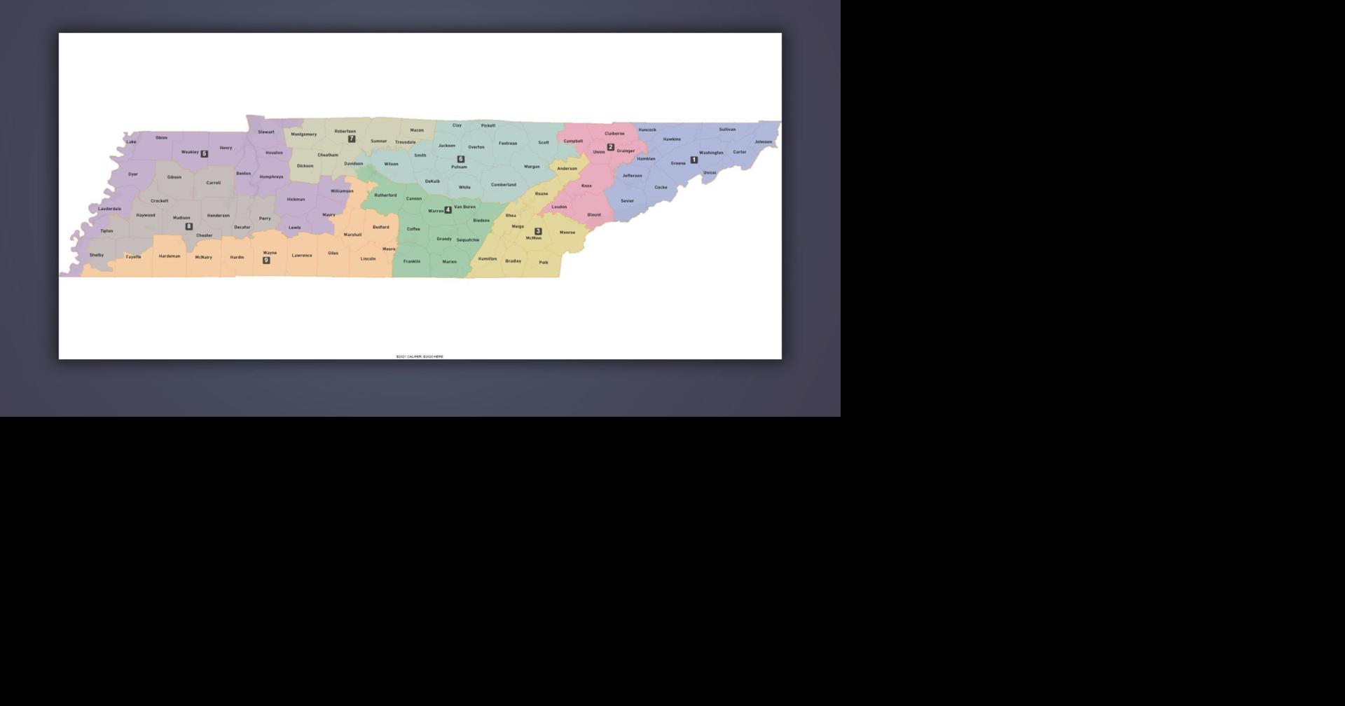 Memphis, Shelby County spread into 3 districts by House approved map ...