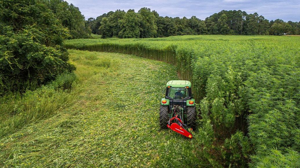 Illinois to regulate intoxicating hemp products, loosen up on cannabis ...
