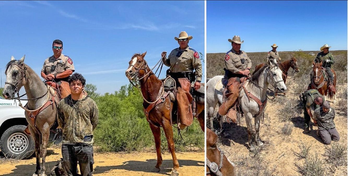 Operation Lone Star: Paws and hooves integral to border security ...