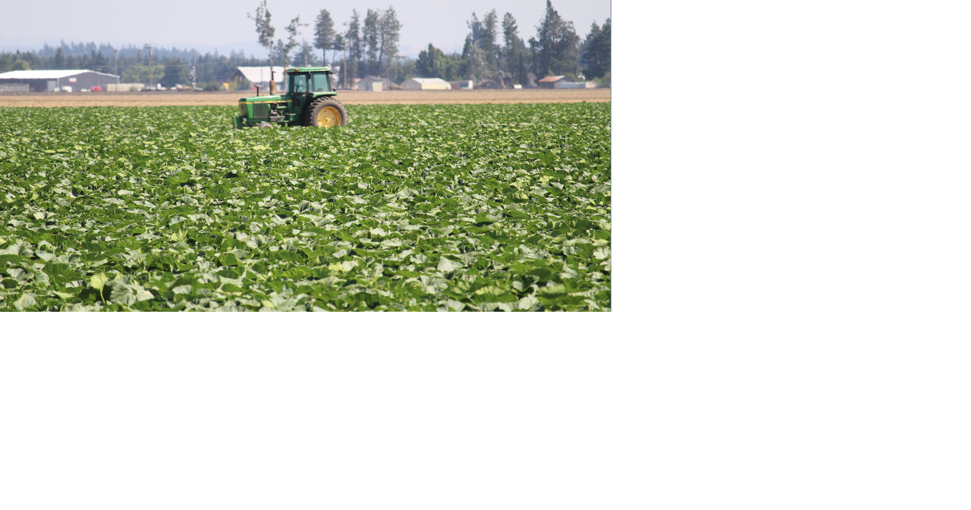 Brown Orders New Labor Rules For Oregonians Working In Extreme Heat