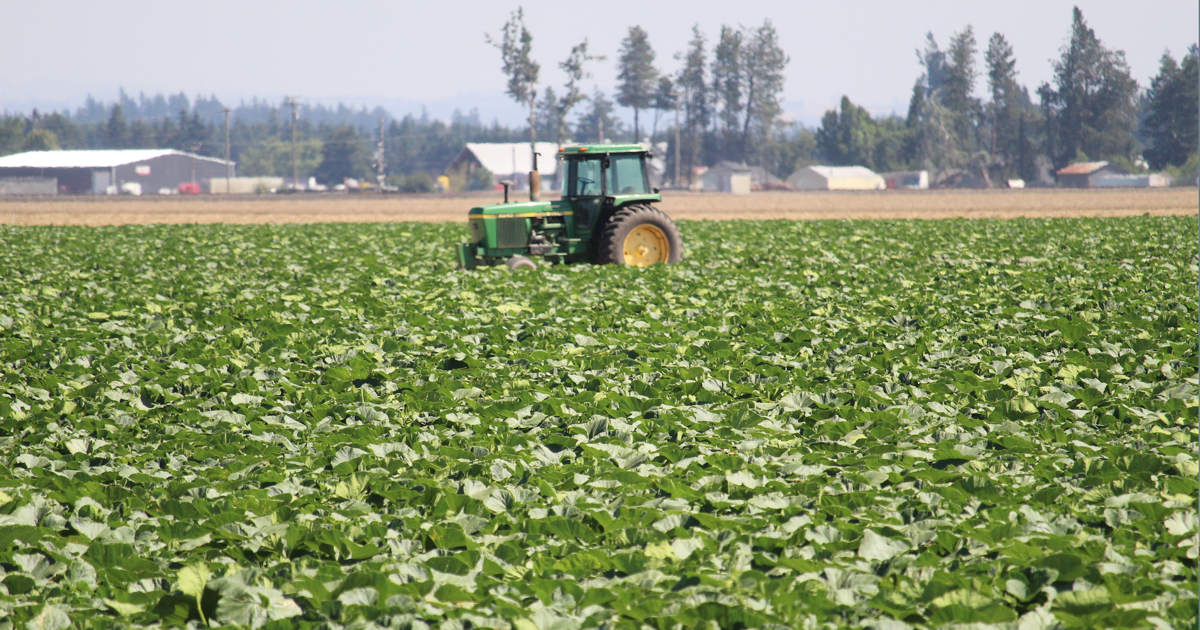 Brown Orders New Labor Rules For Oregonians Working In Extreme Heat
