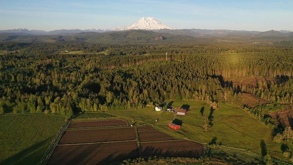 WA Ecology declares statewide water drought emergency amid ...