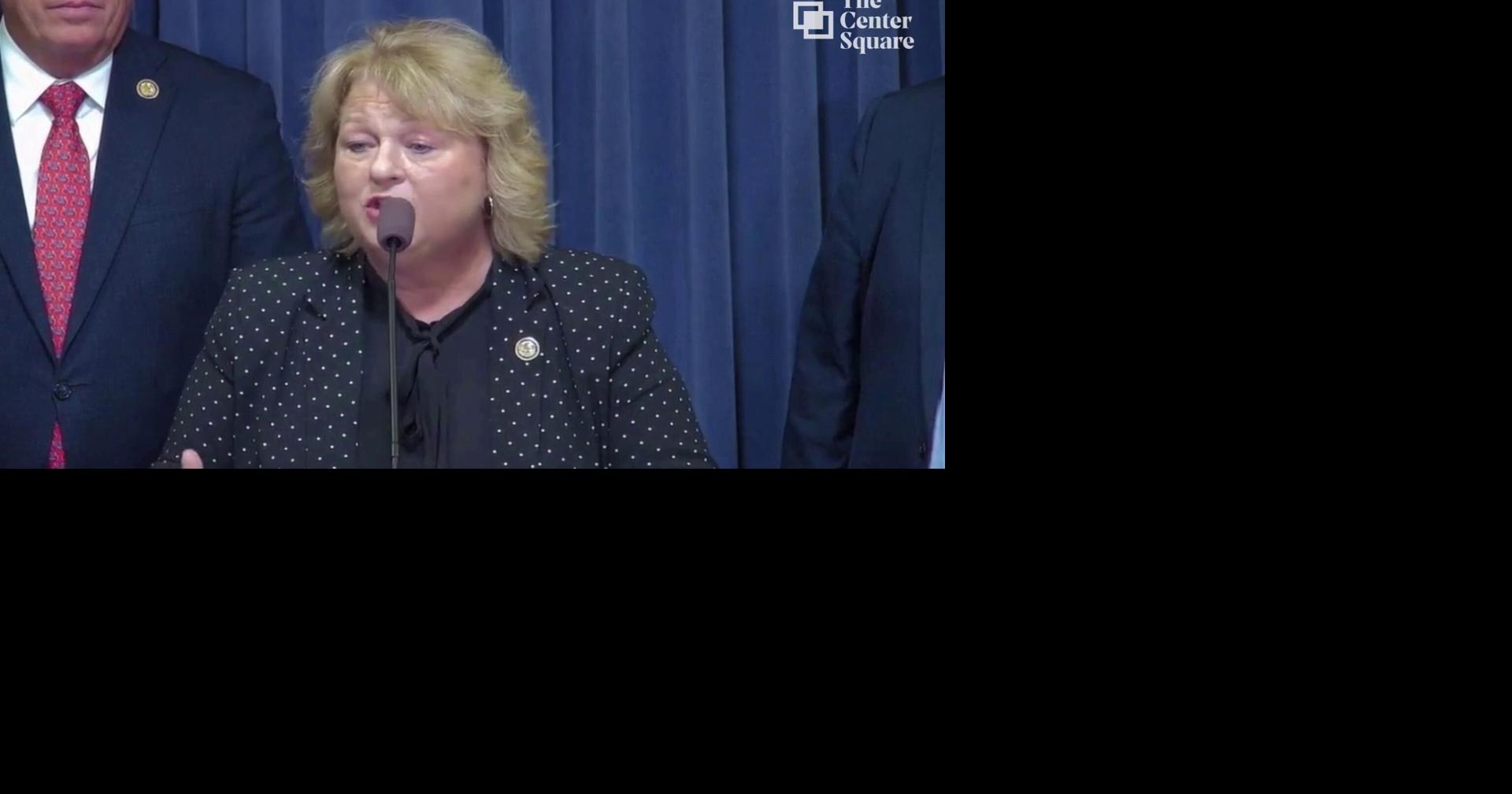 Legislators: Proposed race-based funding formula for universities could ...