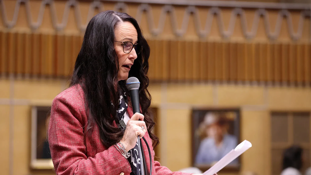 Shamp: Arizona gives $6B yearly in improper Medicaid payments | Arizona ...