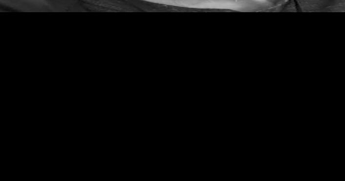 Dominic David Cirillo Jr. | Obituaries | thecentralvirginian.com