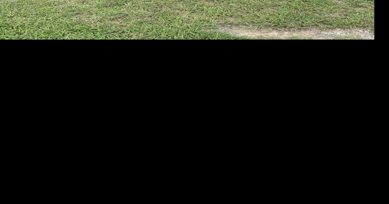 Brass Monkey Tattoo and Piercings finds home in Sage Building | News ...