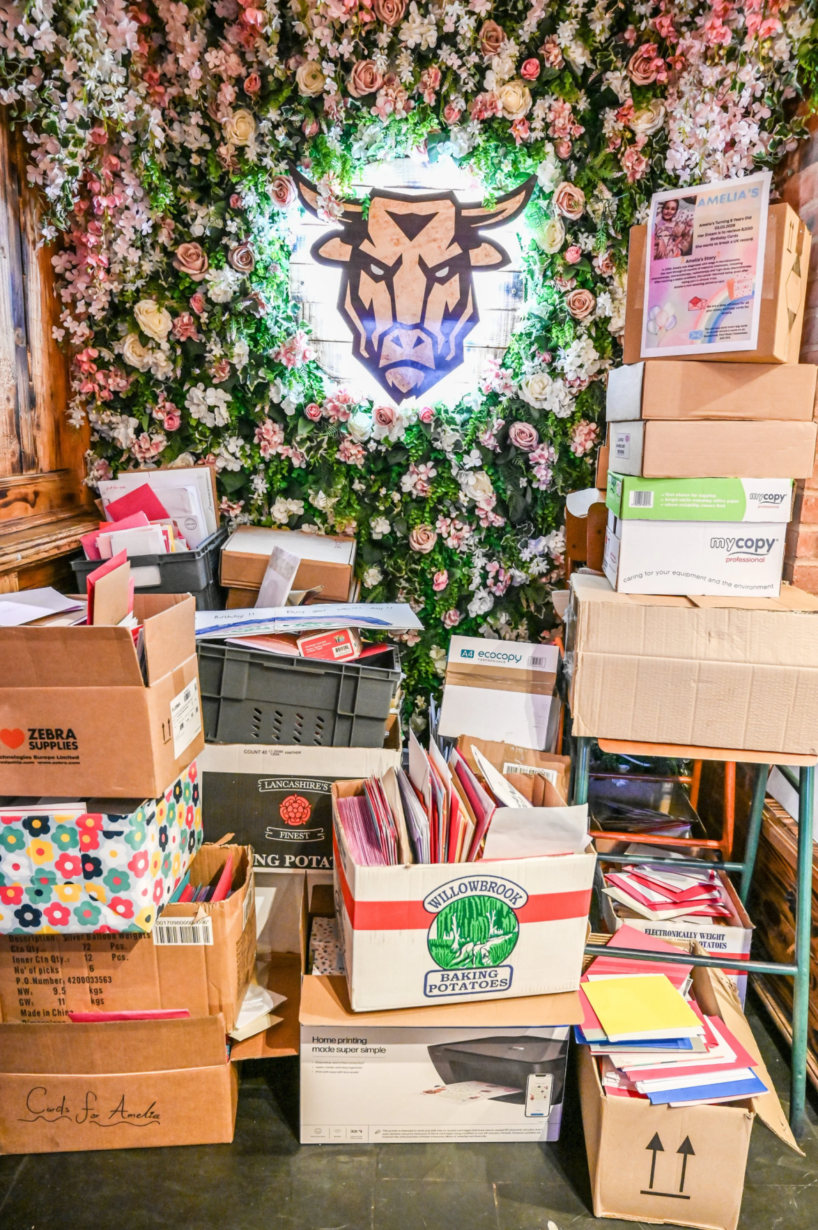 Cancer-stricken girl receives 60,000 birthday cards | Health ...
