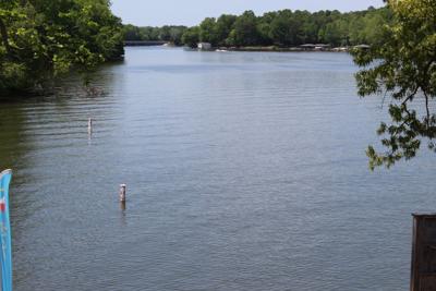 Dominion Energy monitoring harmful algae bloom discovered on warm side ...