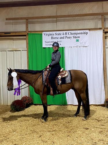 4-H Horse and Pony Club: 61st annual Virginia 4-H State Horse Show ...