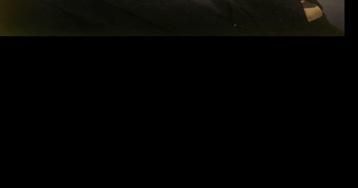 Joseph Cecil Roberts | Obituaries | thecentralvirginian.com