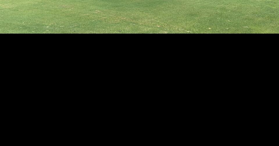 Lions’ golfer McGehee competes at state | Sports | thecentralvirginian.com