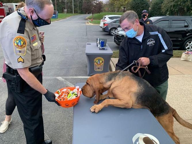 Sheriff's office activities in 2020 | Law Enforcement ...