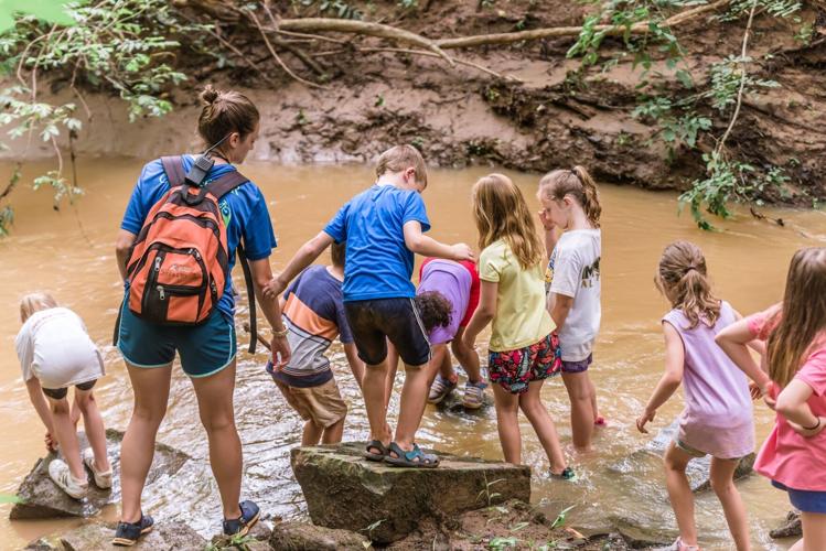 Anne Springs Close Greenway continues summer camp tradition | Coast To Coast ...