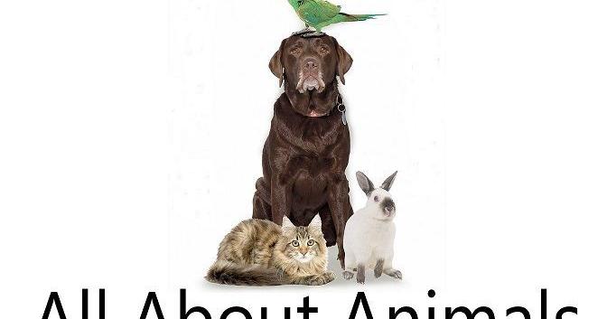 Clarion PAWS has felines who need 'furever' homes | All About Animals ...