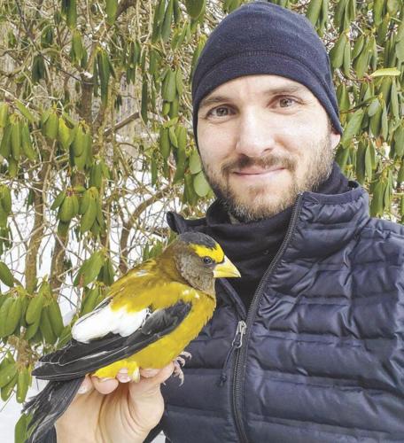 Local Audubon lists upcoming nature programs | Living | theclarionnews.com