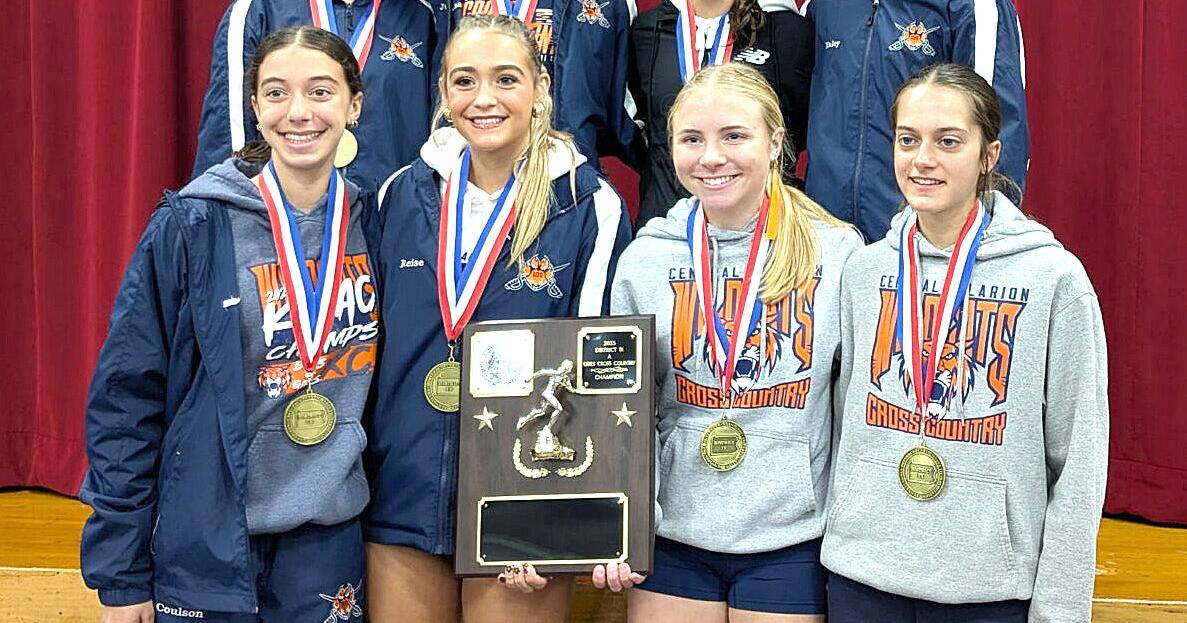 Central Clarion boys’ and girls’ harriers claim district crowns ...