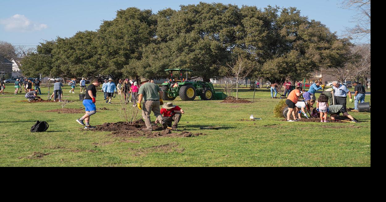 Texas A&M Forest Service awards $4 million for community forestry ...