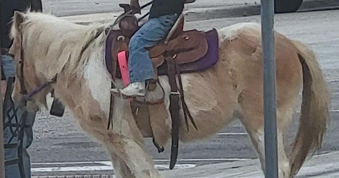 Horses on Comanche County Square | Multimedia | thecomanchechief.com