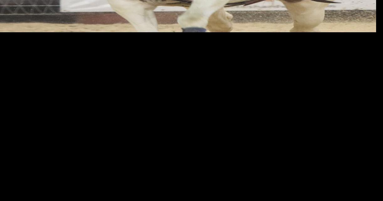 2024 Comanche Rodeo photo gallery #3 | A E | thecomanchechief.com