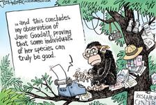 Heller cartoon- Jane Goodall | A E | thecomanchechief.com