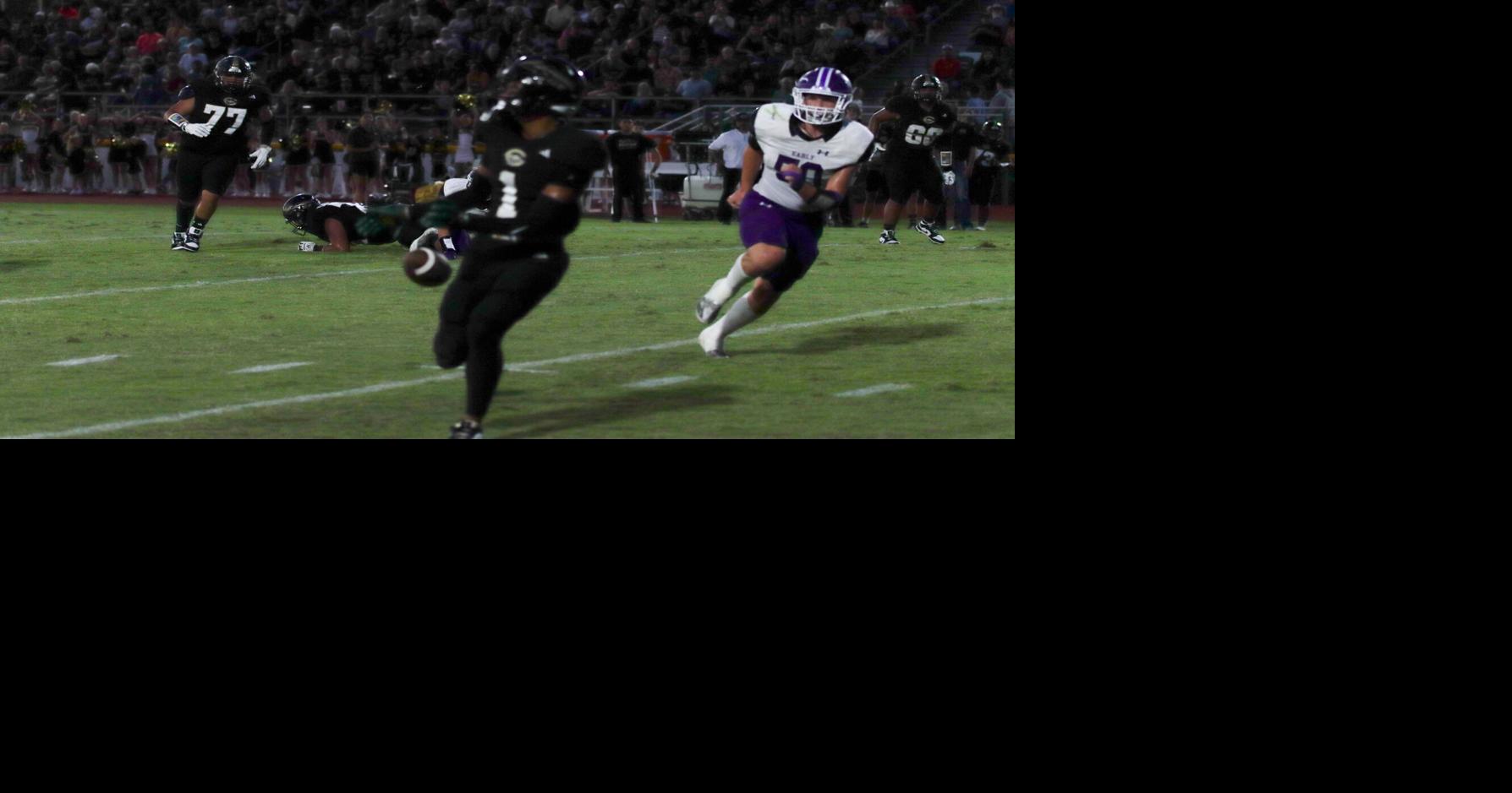 Early Longhorns at Comanche Indians | Multimedia | thecomanchechief.com