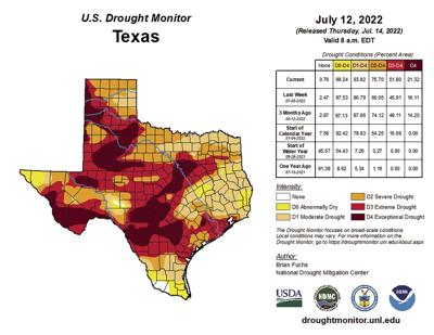 Texas Crop and Weather Report | Agriculture | thecomanchechief.com