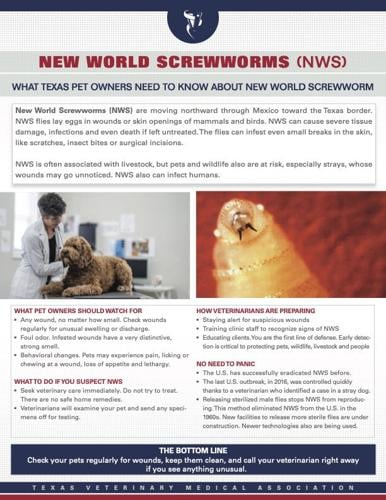 New World Screwworm Confirmed in Texas: Here’s What Pet Owners ...