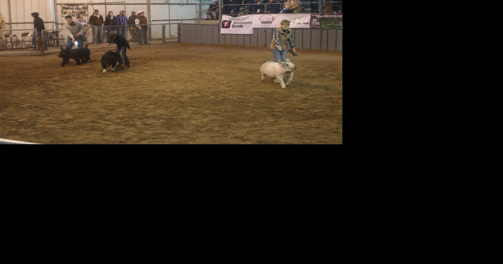 2024 Comanche County Livestock Show photo gallery | Agriculture ...