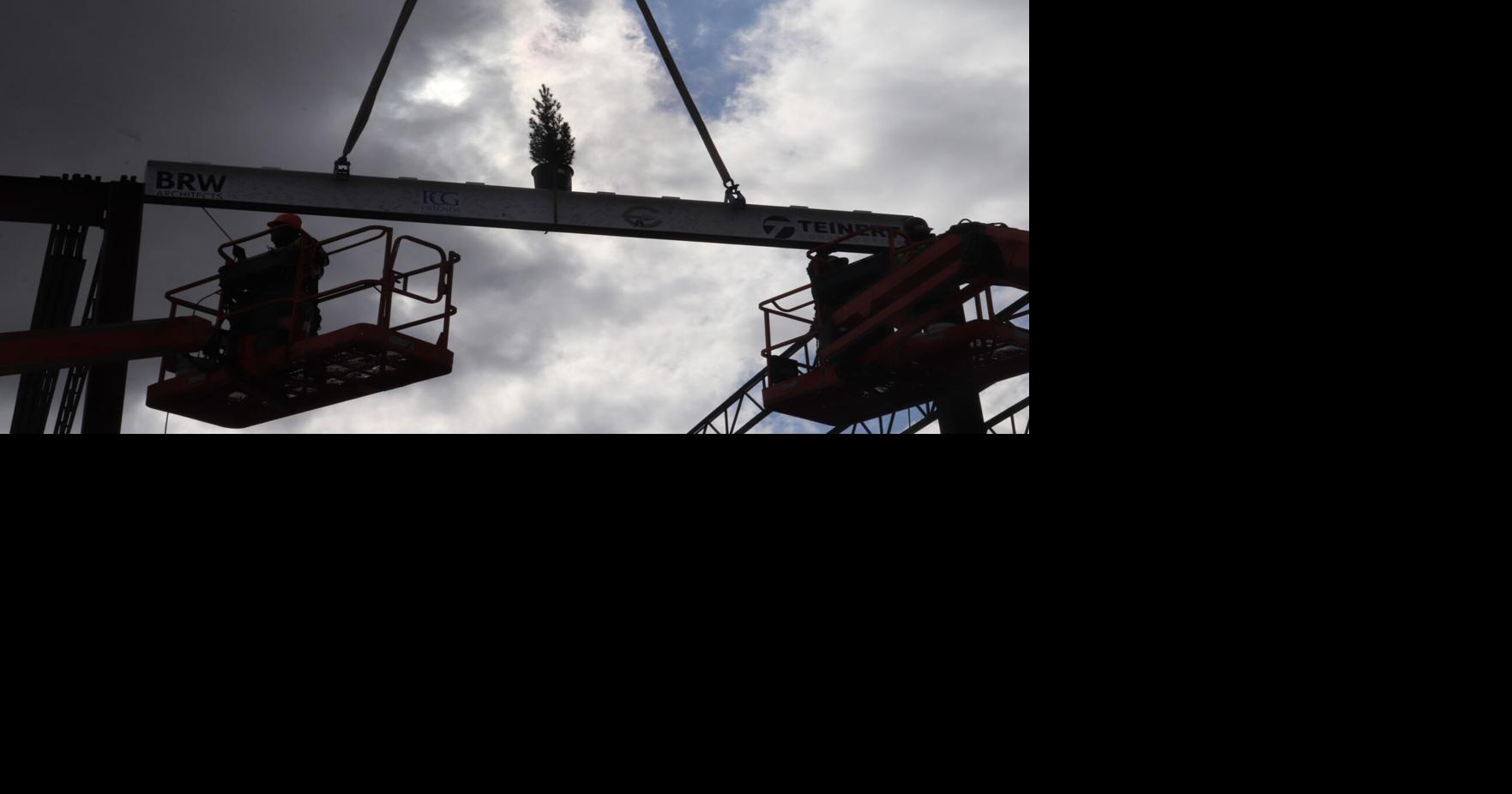 Why is the Tree Strapped to the Beam? | Comanche News ...