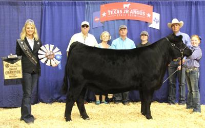 Area resident featured in winners circle at Texas Jr. Angus Show ...