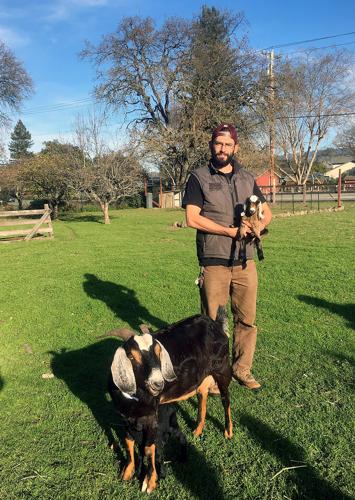 Cotati’s Veronda/Falletti Ranch | Feature Of The Week ...