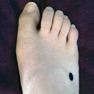 Gallbladder 40 aids in restoring one's digestive balance | Health ...