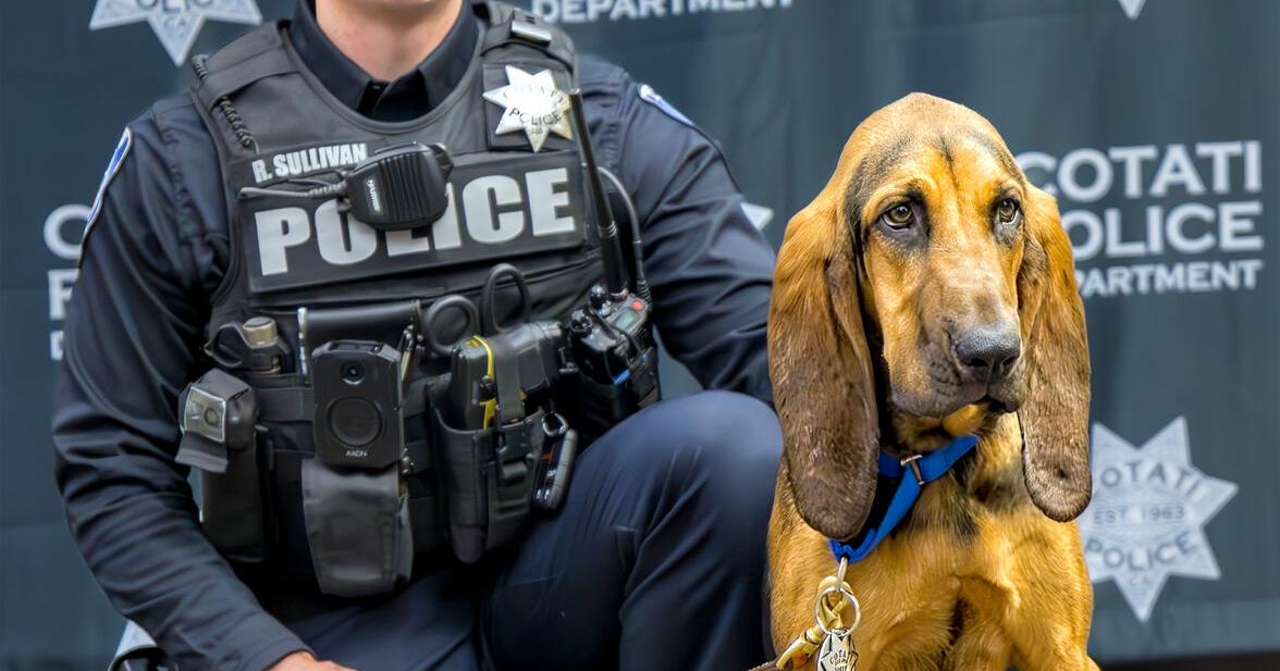 Another K-9 signs on with the Cotati Police Department | Community ...
