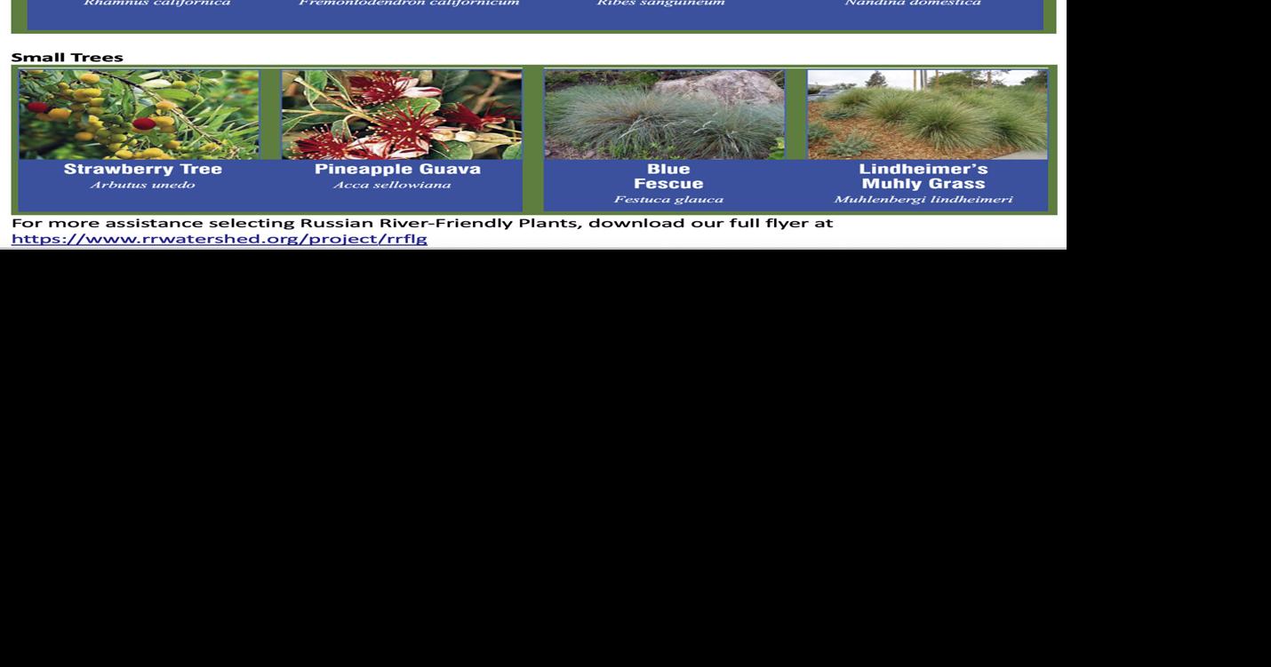 Friendly landscaping practices for watershed health | Home & Garden ...